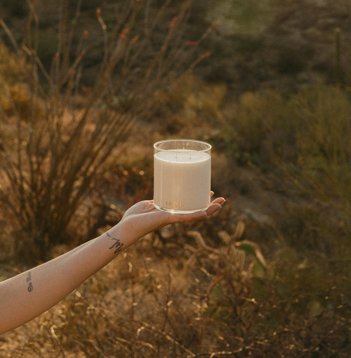 CICADA Home – Artisan Candles, Reed Diffusers & Room Sprays